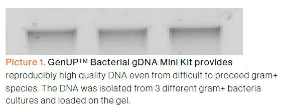 biotechrabbit | GenUP™ Bacteria gDNA Kit - Total DNA Isolation ...