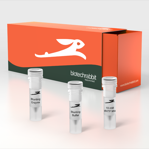 biotechrabbit | DNA Blunting Kit | leap and lead