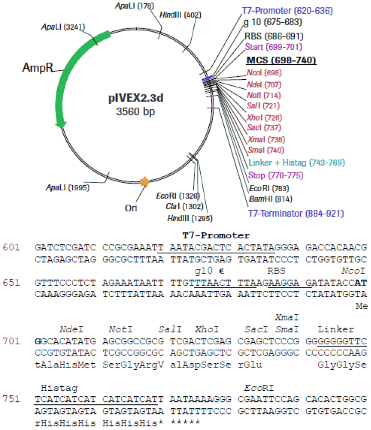 biotechrabbit | RTS pIVEX E. coli His-tag, 2nd Gen. Vector Set | leap ...