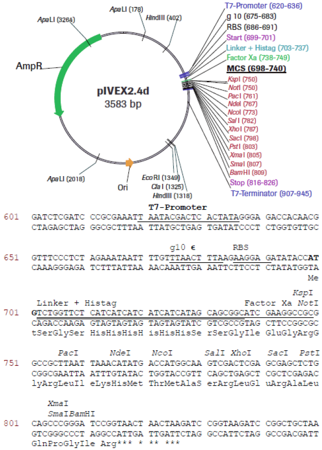 biotechrabbit | RTS pIVEX E. coli His-tag, 2nd Gen. Vector Set | leap ...