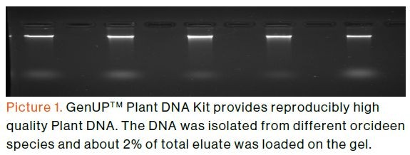 biotechrabbit | GenUP™ Plant DNA Kit - Total DNA Isolation - Nucleic ...