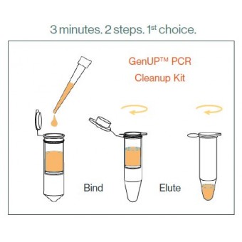biotechrabbit | GenUP™ PCR Cleanup Kit - DNA Cleanup - Nucleic Acid ...