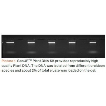 biotechrabbit | GenUP™ Plant DNA Kit - Total DNA Isolation - Nucleic ...